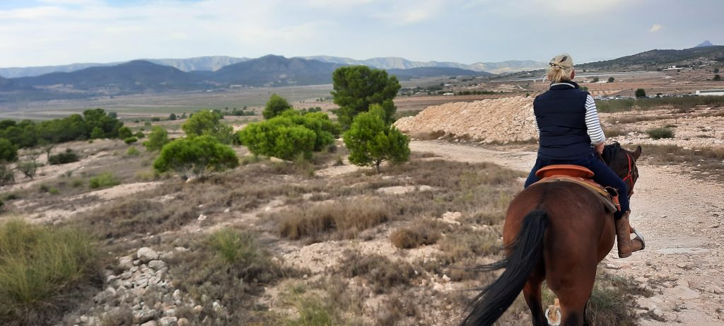 Gallery – Rosewood Ranch