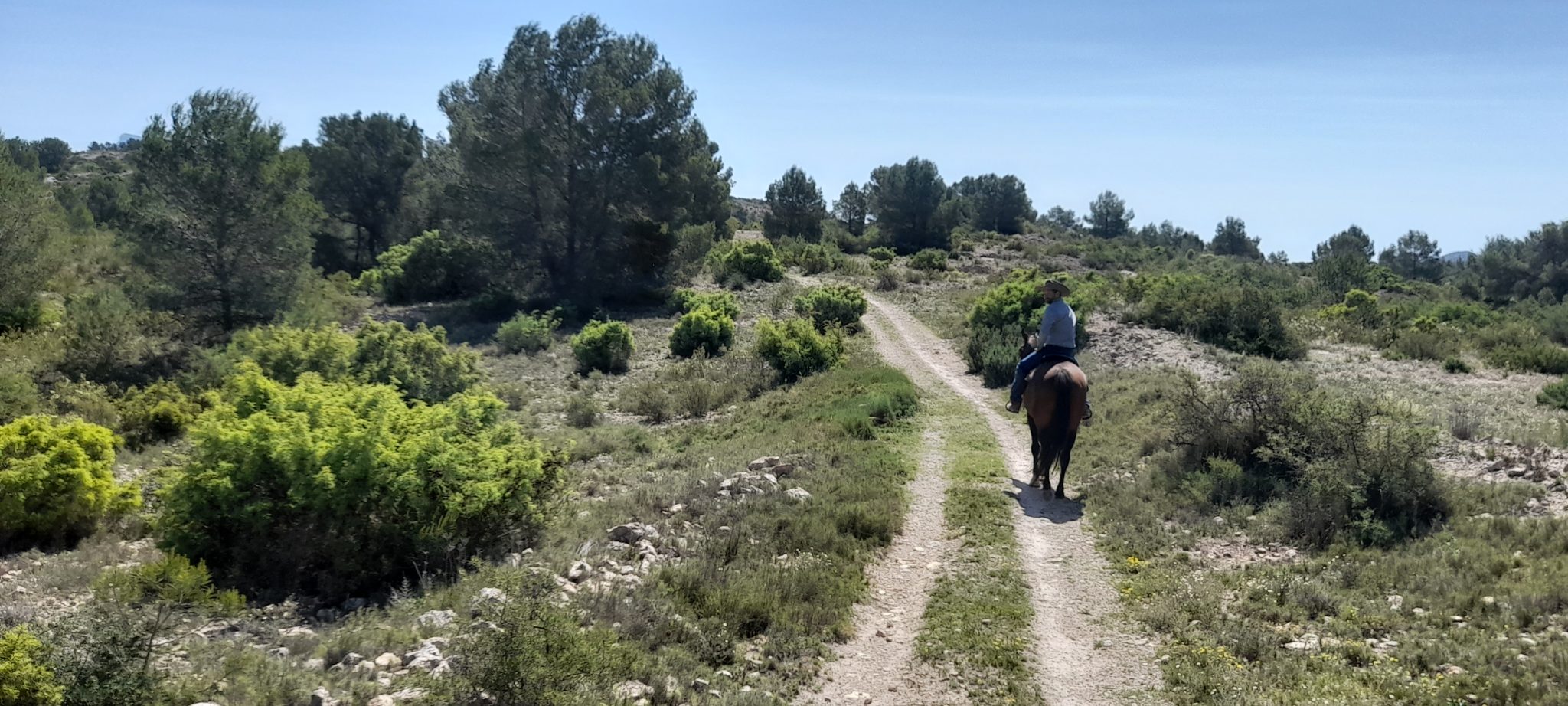 Gallery – Rosewood Ranch